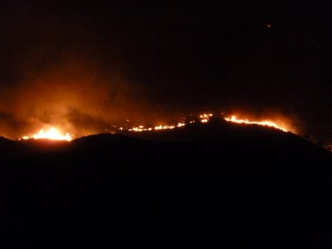 Costa del Sol fire: In Pictures - UPDATED - Olive Press News Spain