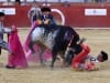 Spanish bullfighter Victor Barrio gored to death by bull on live TV ...