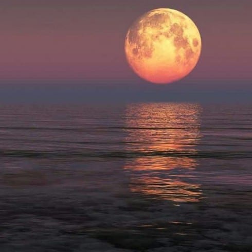 PICTURE SPECIAL: Beautiful supermoon pictures captured in Spain - Olive ...