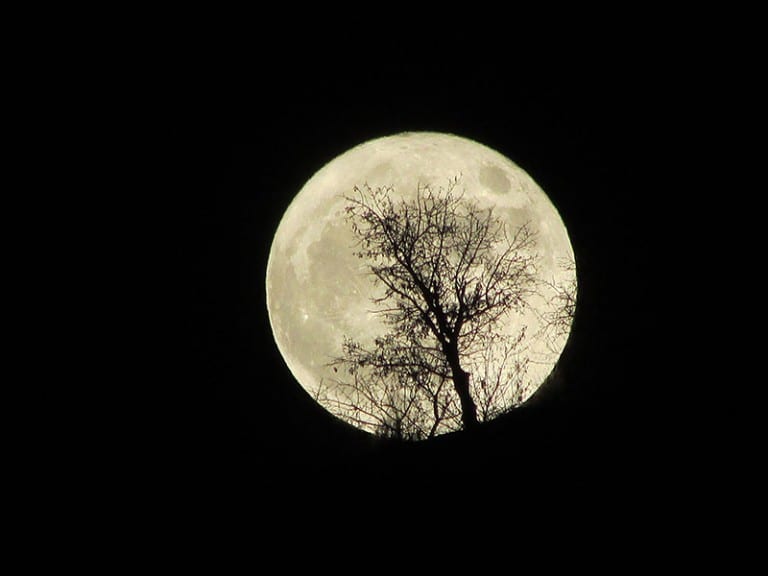 PICTURE SPECIAL: Beautiful supermoon pictures captured in Spain - Olive ...
