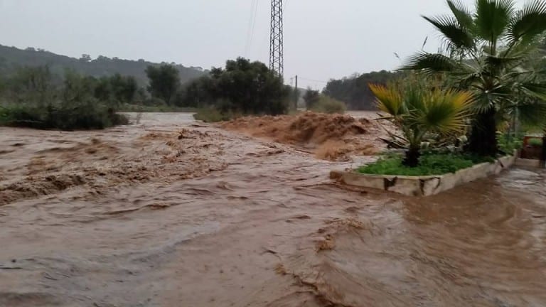 IN PICTURES: Latest Costa del Sol flood devastation - Olive Press News ...