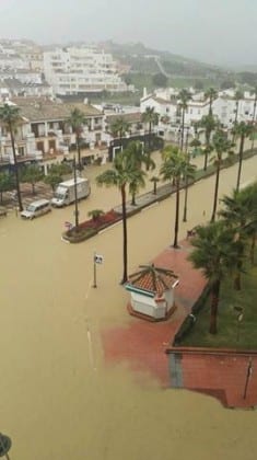 Devastating floods cause Marbella more than €28 million damage - Olive ...
