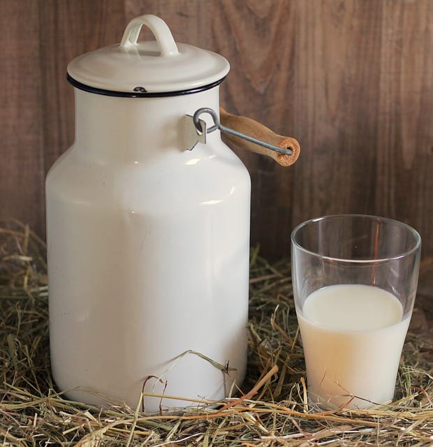 Milking it: The varied and contradictory uses of ‘leche’ in Spanish ...