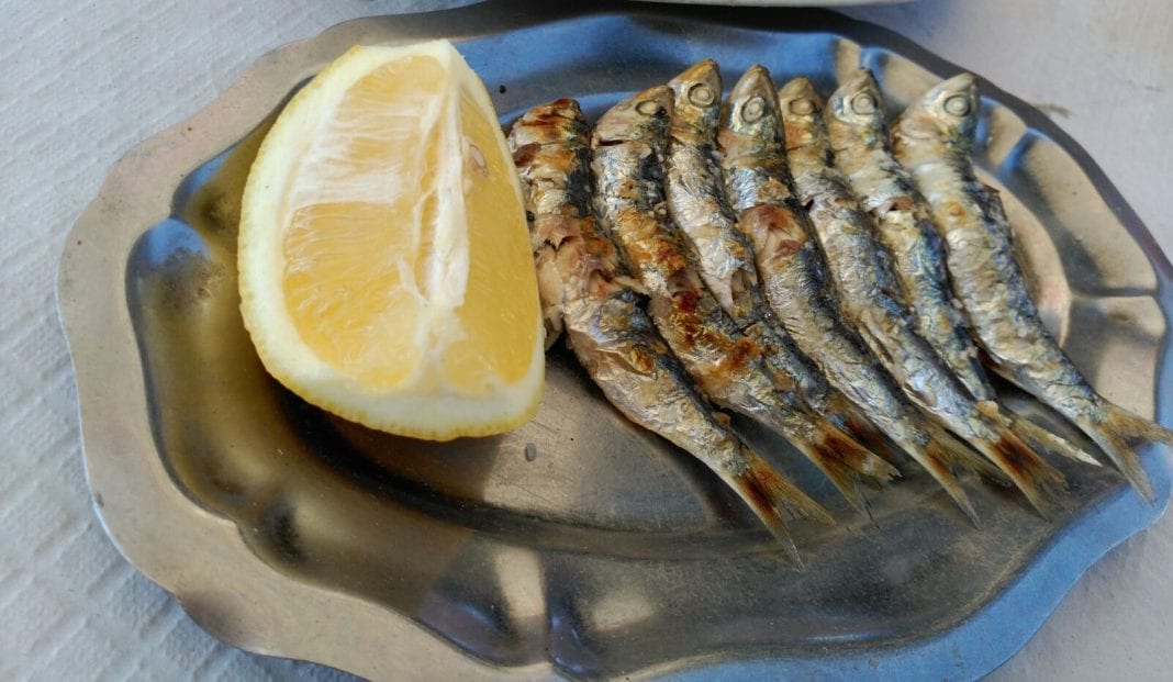 ESPETOS: Everything you need to know about the Costa del Sol's most ...
