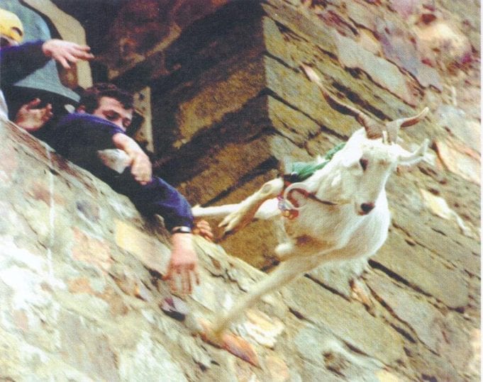 Seven Spanish traditions of extreme animal torture that MUST be stopped ...