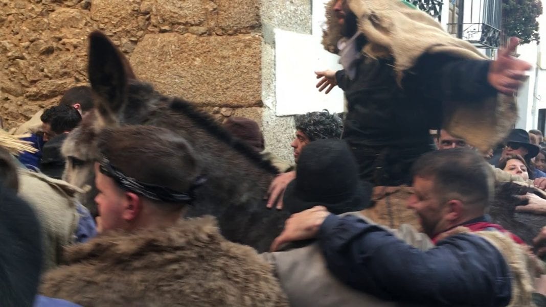 Spanish grandfather becomes Spain's oldest Erasmus student - Olive ...