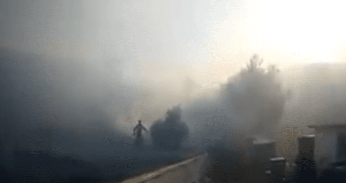 WATCH: Firemen tackle forest fire on Costa del Sol - Olive Press News Spain