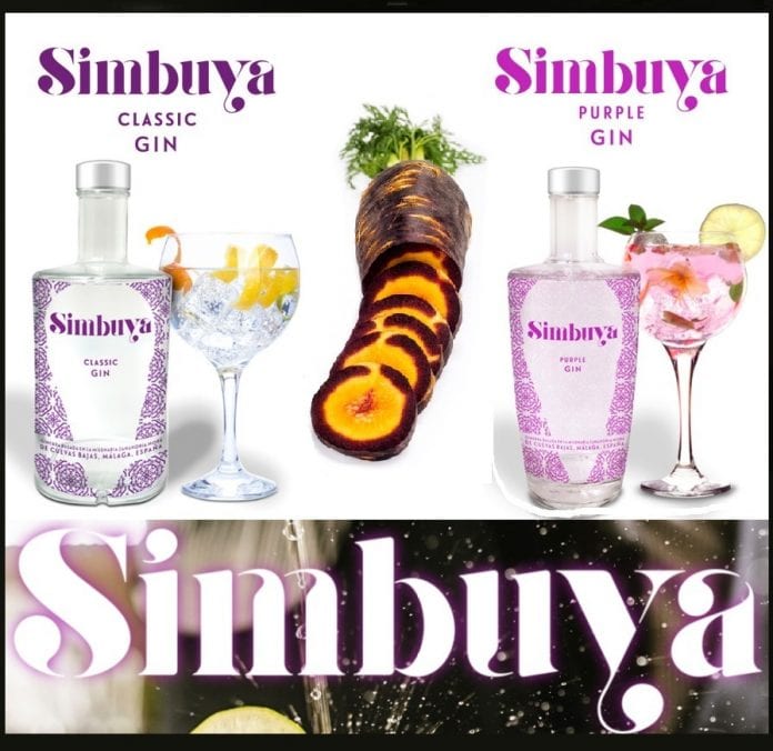 Six fruity Malaga gins you must try this summer - Olive Press News Spain