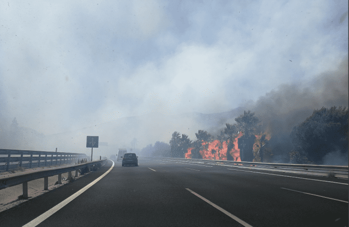 BREAKING: Cars abandoned and aircraft scrambled as forest fire erupts ...