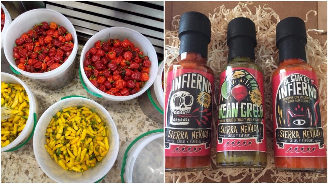 Chilli-ng at Andalucia's Salsas Sierra Nevada - Spain's first artisan ...