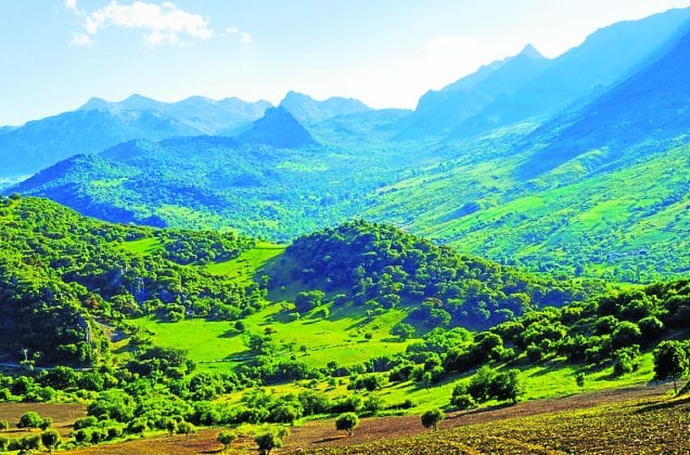 IN PICS: Spain's five major landscapes and how their gardens grow ...