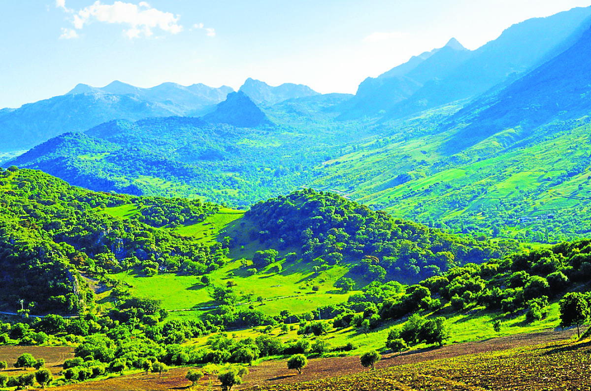 IN PICS: Spain's five major landscapes and how their gardens grow ...