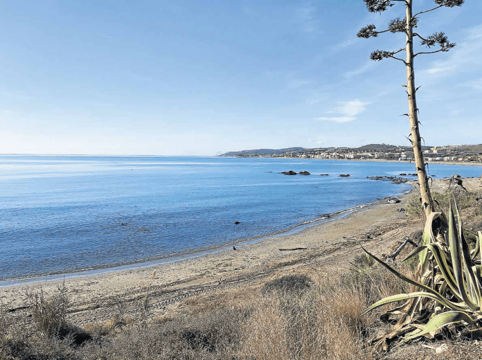 Find out what is attracting people to the town of Manilva - Olive Press ...