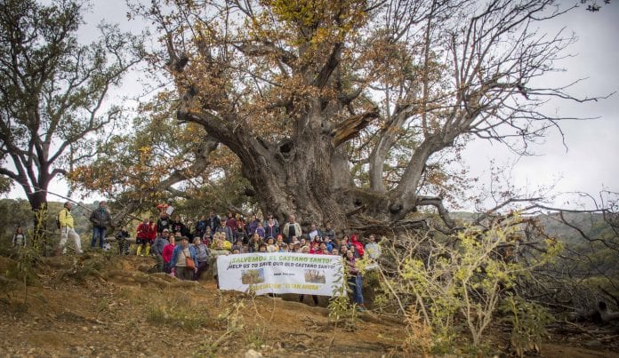 IN PICS: Spain's five major landscapes and how their gardens grow ...
