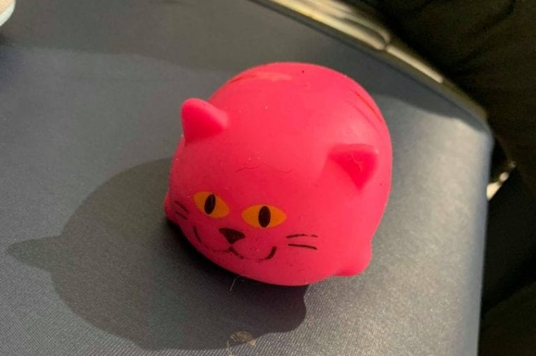 'Frightening' moment on Thomas Cook flight to Spain as squishy cat toy ...