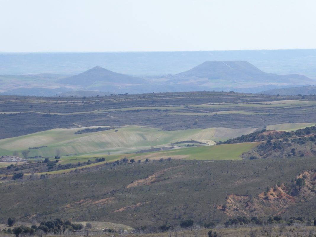 LONG READ: Meet the collective facing jail after trying to save a ...