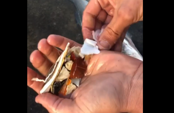 WATCH: Video of plastic-filled fish goes viral in Spain - Olive Press ...