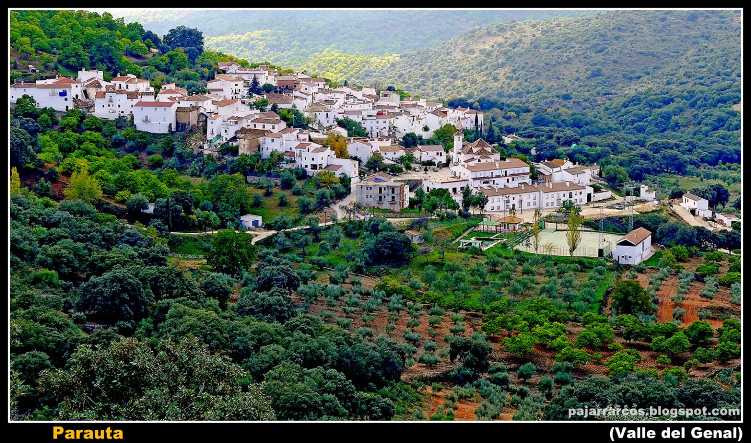 IN PICS: Top 10 smallest villages in Spain's Malaga - Olive Press News ...