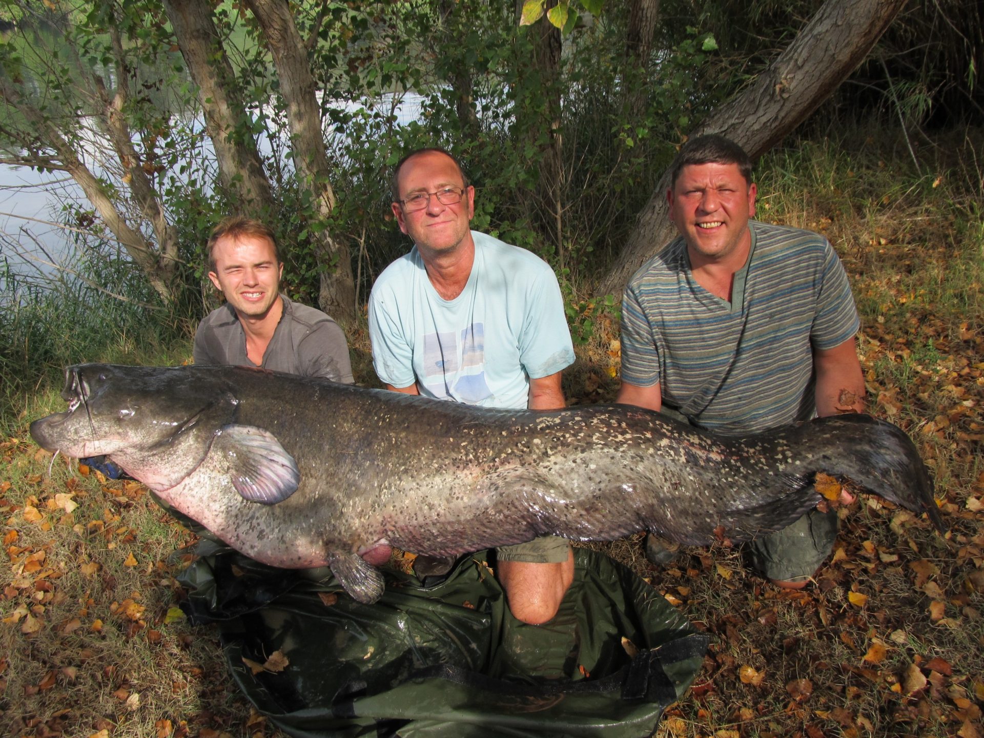Ecologists demand plan to save rivers from monster catfish in Spain's ...