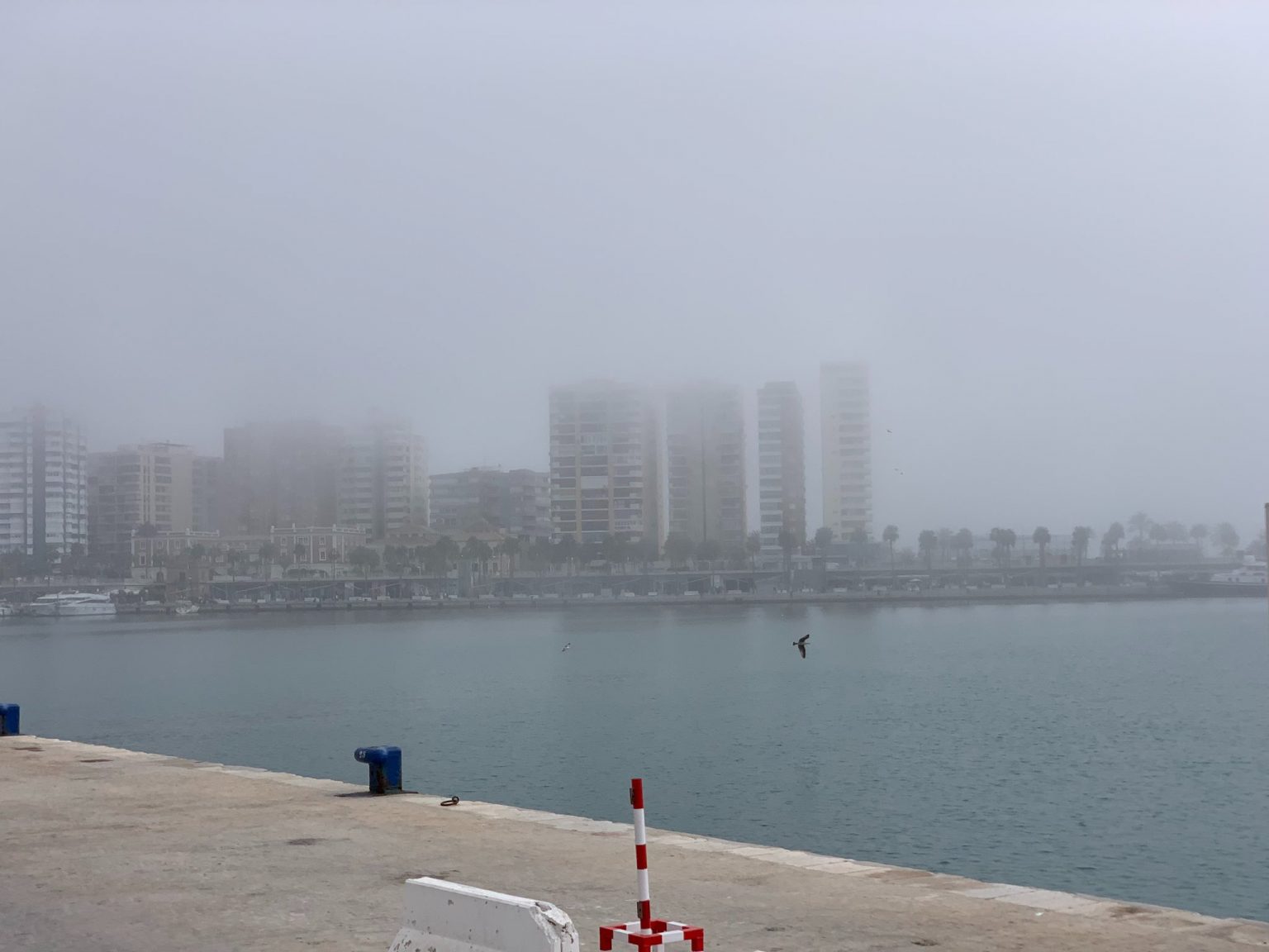 Extreme fog which shut down Malaga airport returns to Spain's Costa del ...