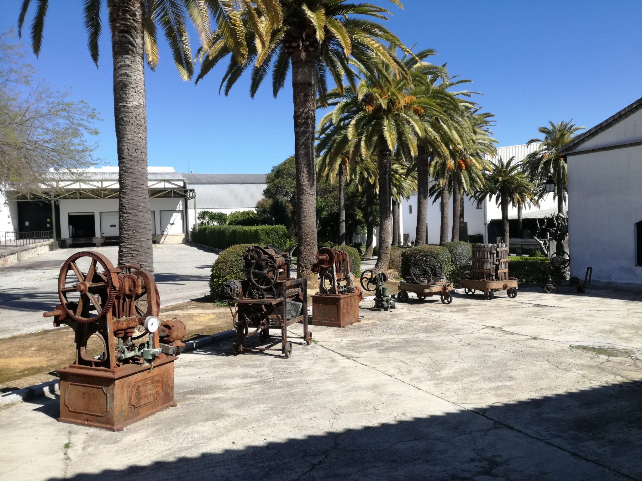 BODEGAS ALVEAR SPAIN: A dive into the dark cellars of Andalucia’s ...