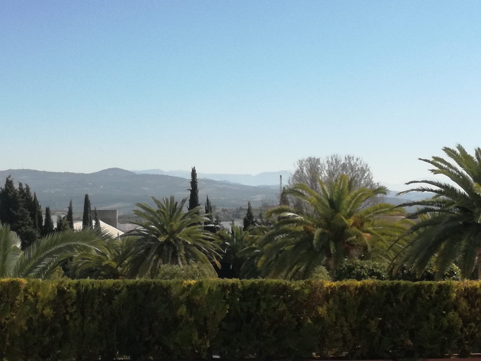 BODEGAS ALVEAR SPAIN: A dive into the dark cellars of Andalucia’s ...