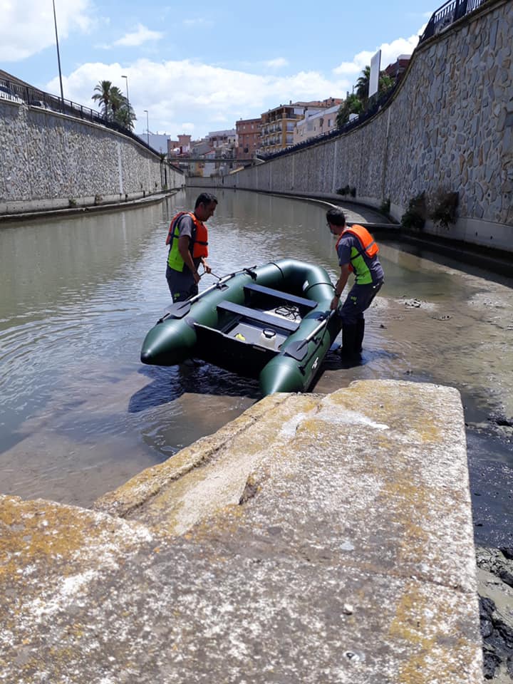 Orihuela council announce new 'inflatable boat' to tackle tiger ...
