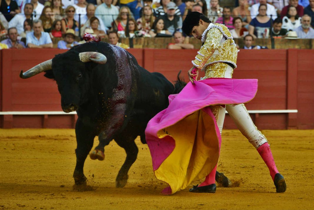 Bullfighting to return to Spain's Andalucia from June 21, with 50% of ...