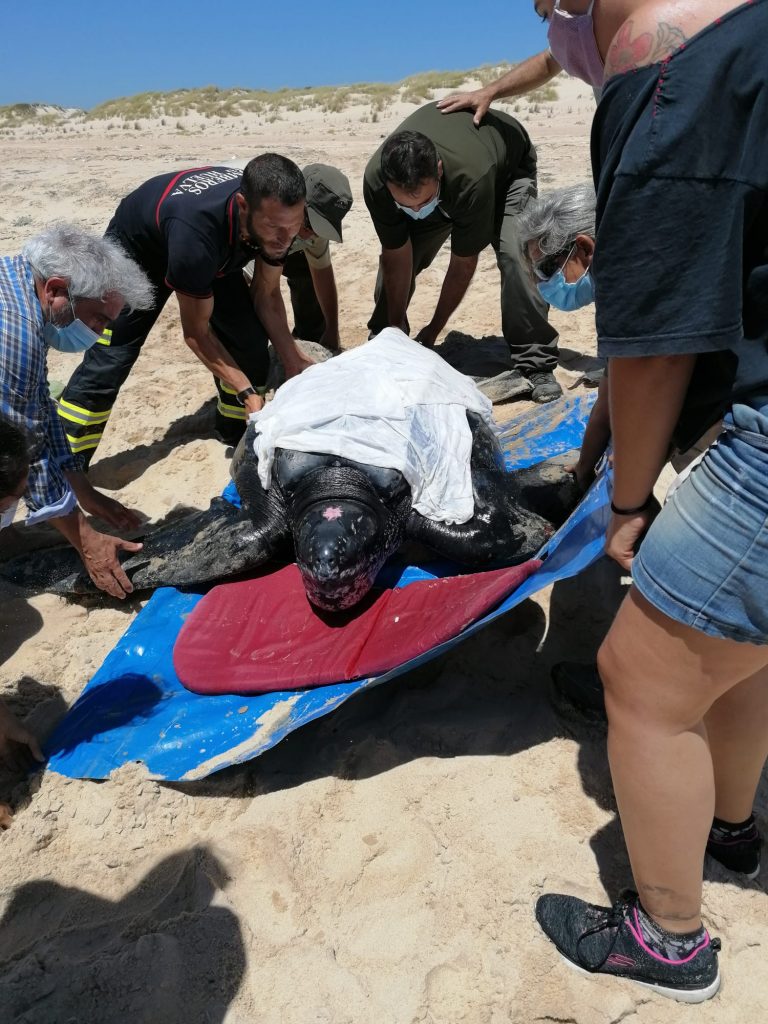 Five Gibraltarians are among 71 arrested in largest ever La Linea drug ...