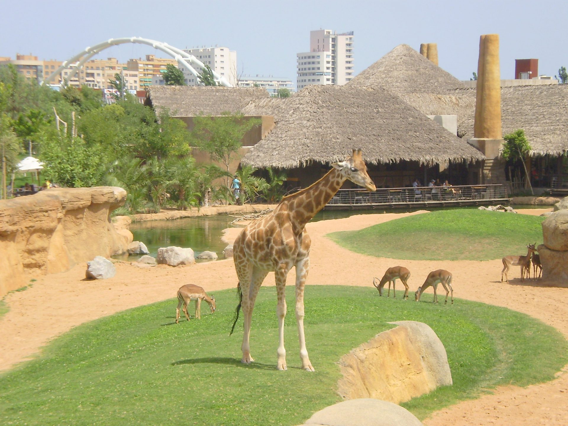 ANIMAL HOUSE: Another good year for Valencia’s Bioparc - Olive Press ...