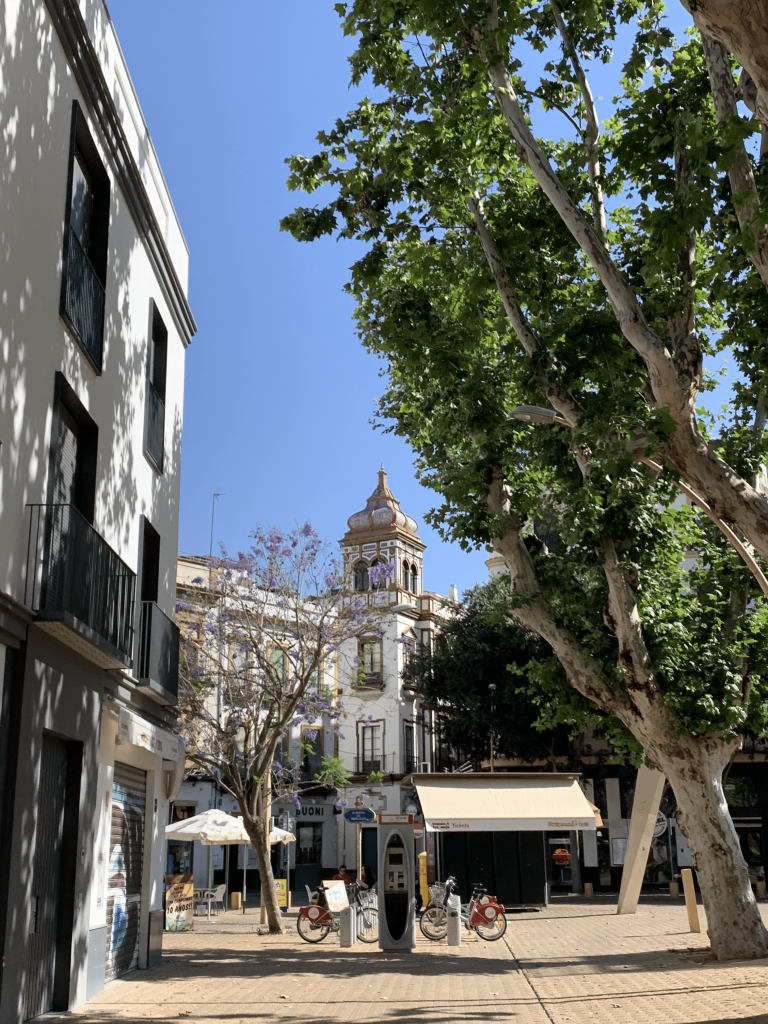 Alameda: A guide to Sevilla's trendiest district - Olive Press News Spain