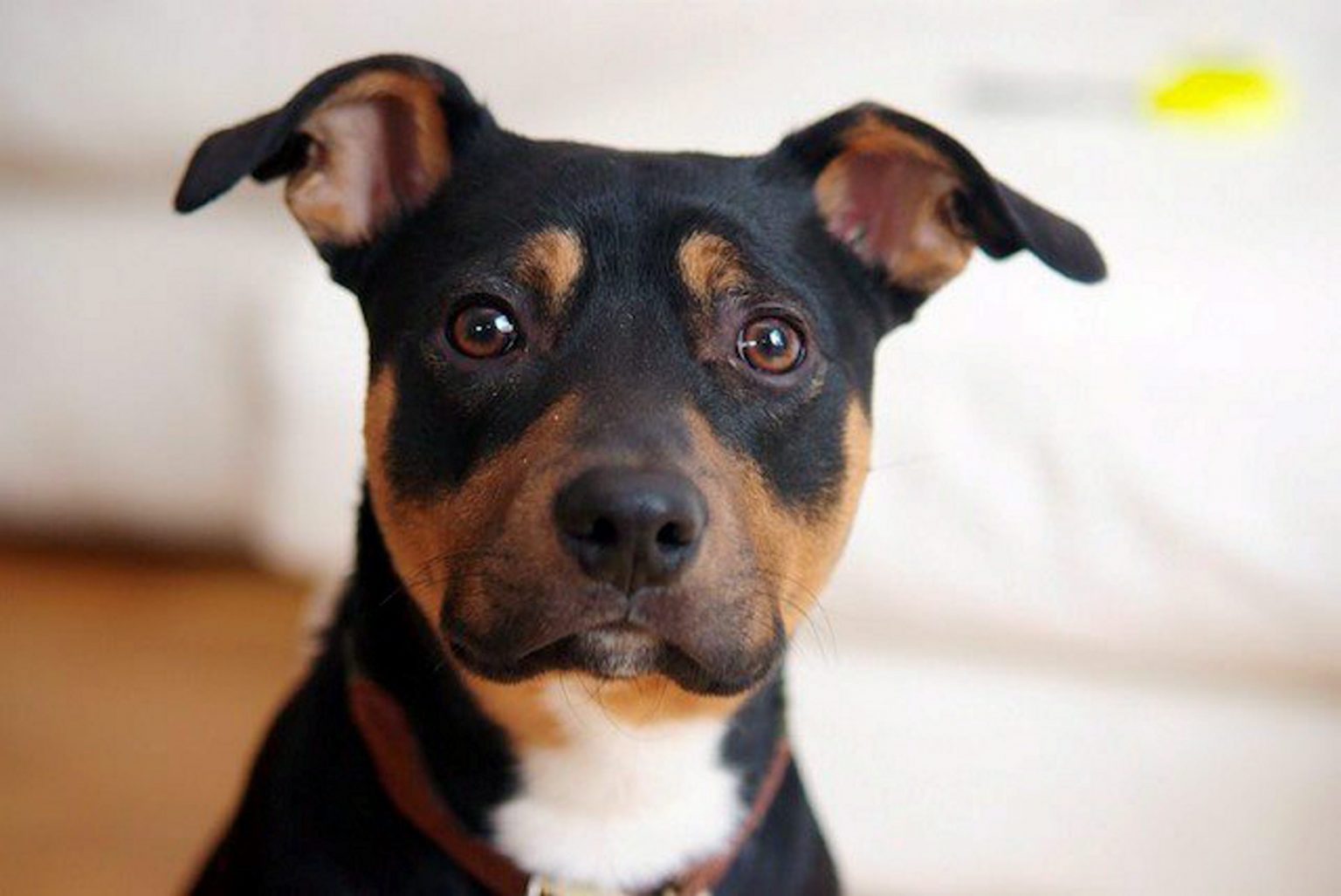 VIA VERDE: Cycling and kayaking through Catalunya's Ebro Delta makes ...