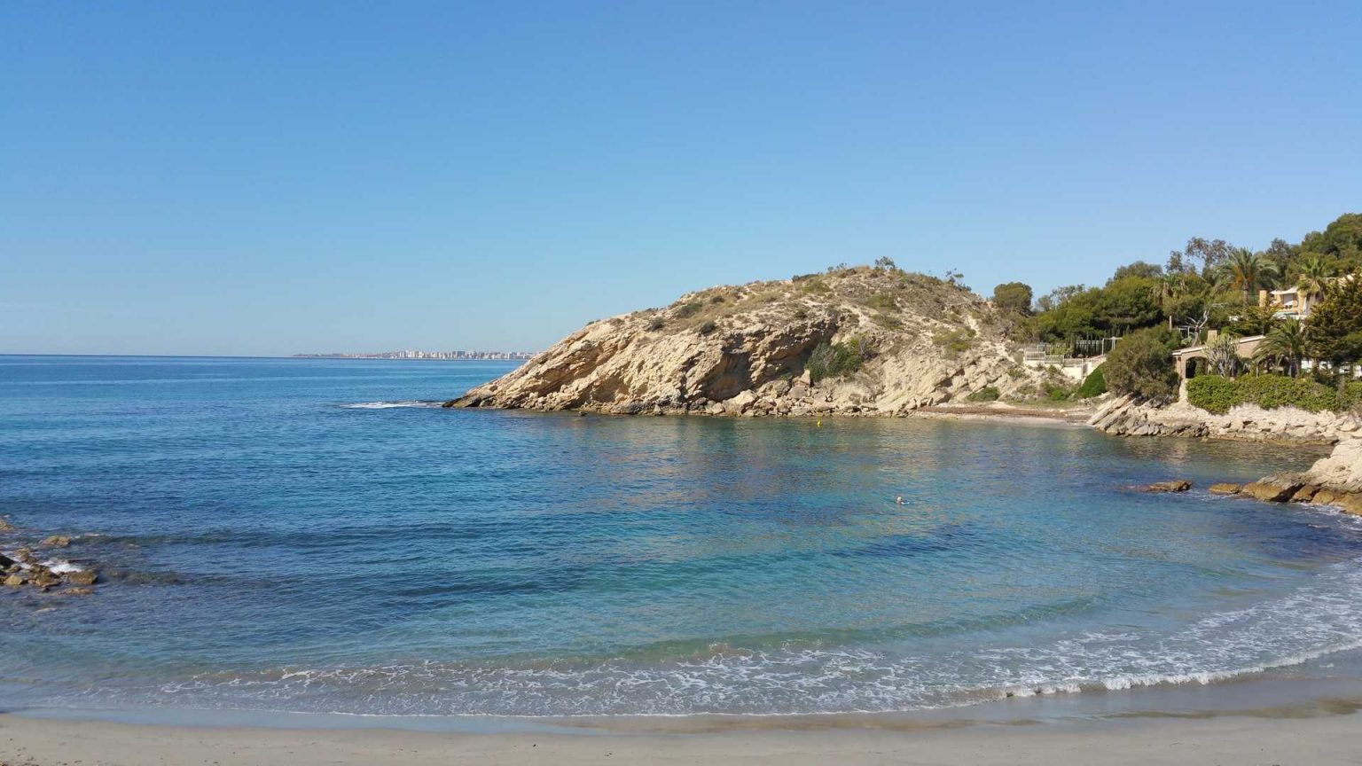 Body of blue shark that appeared in Benidorm washes up on the Costa ...