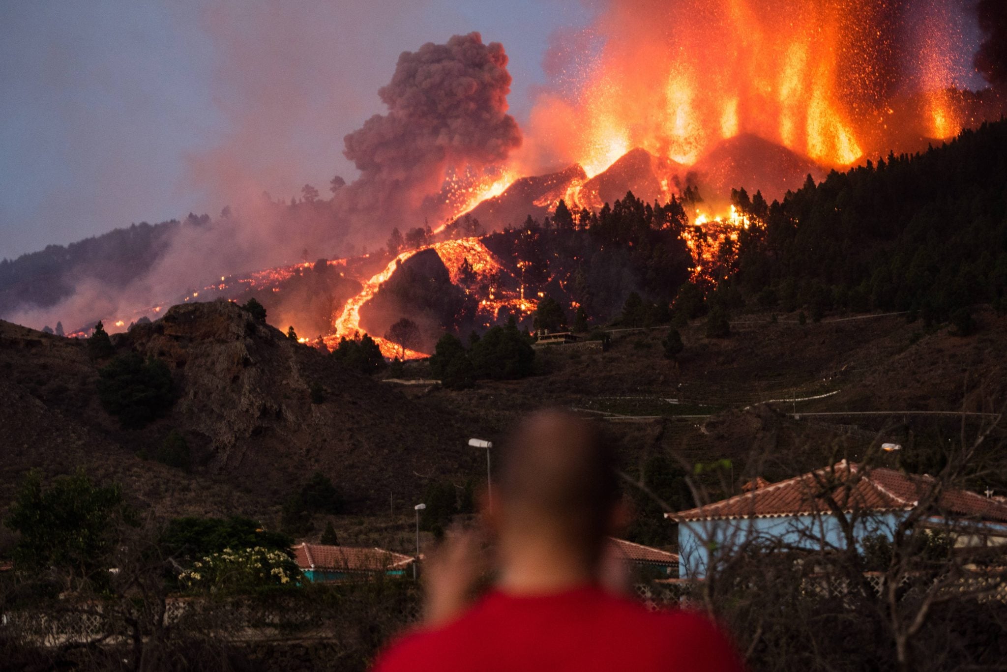 Fears of a volcanic eruption in Spain: Experts warn of 40% chance ...