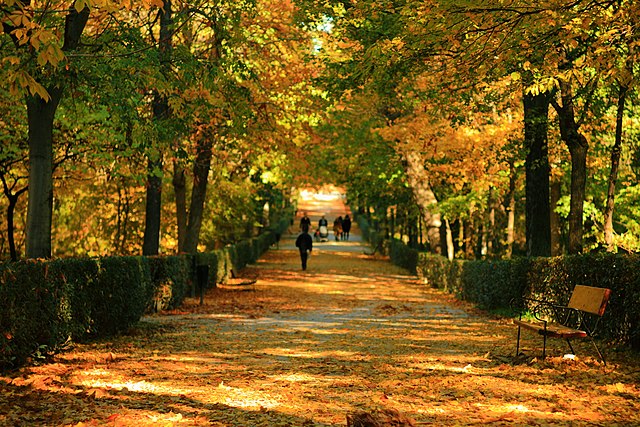TRAVEL: 12 beautiful places to see the autumn colours in Spain - Olive ...