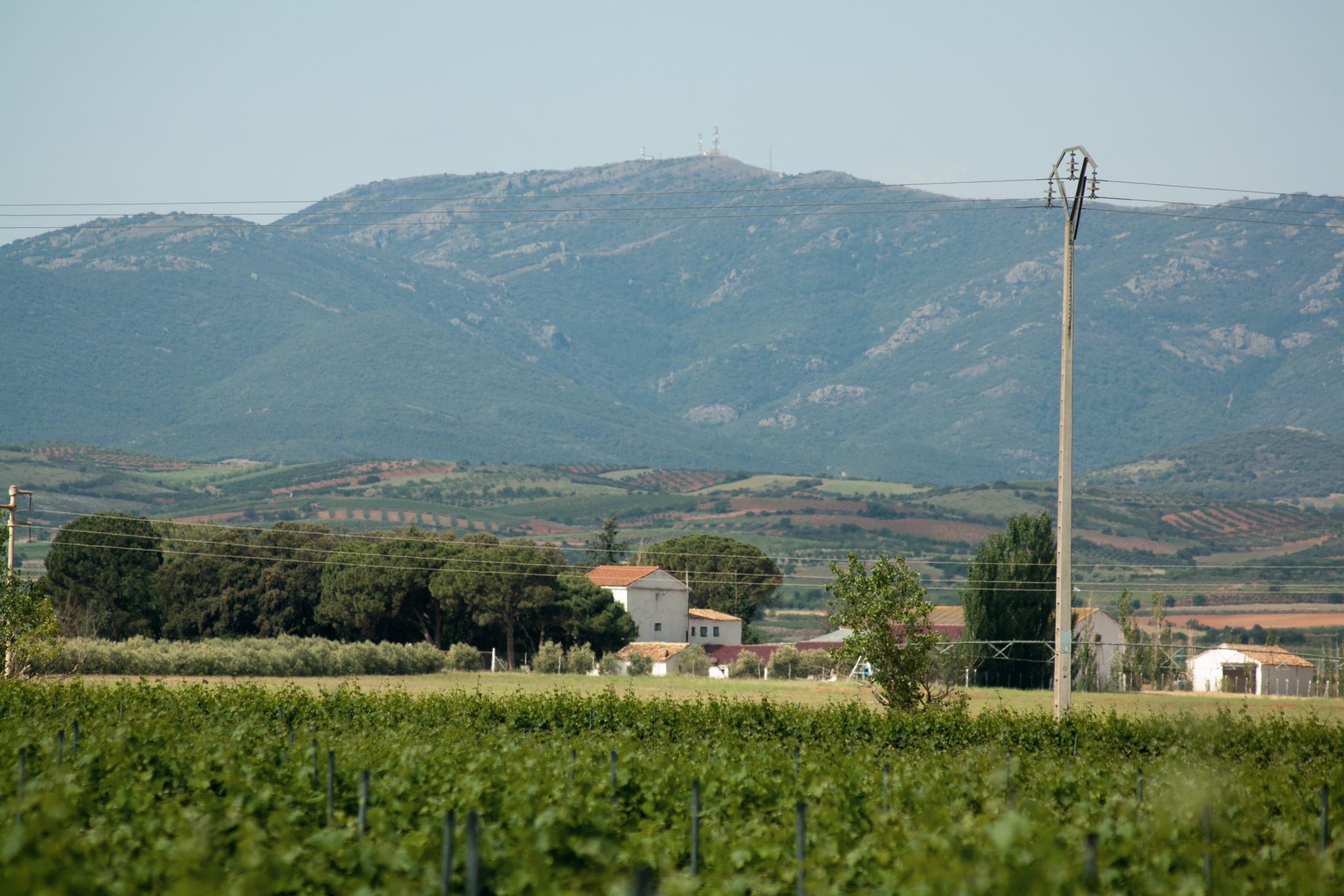 Six wine-growing regions in Spain to enjoy the grape harvest this ...