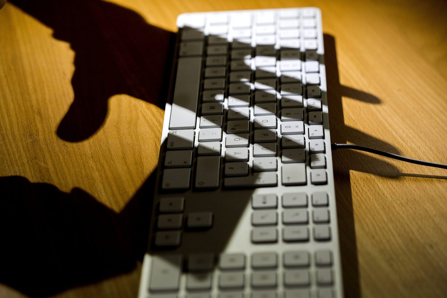 Scammers made €133k by sending bogus texts to get personal bank details ...