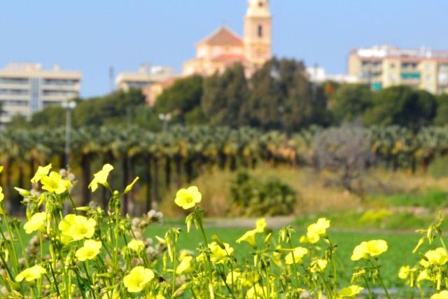 Why you should visit Motril on Spain's Costa Tropical - Olive Press ...