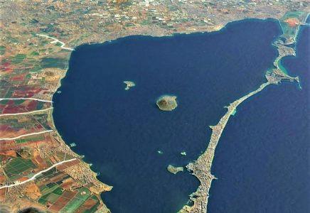 Invasive SNAKES are on the rise in Spain's Mallorca, experts warn ...