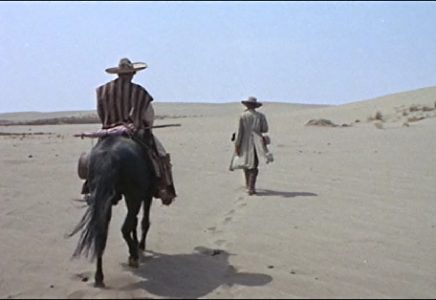 Irish tiger kidnapping suspect arrested in southern Spain - Olive Press ...