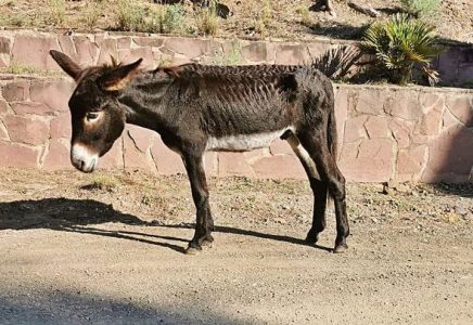 HOME SALES in Spain collapsed by over 14% in 2020 according to official ...