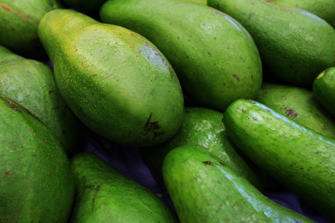 Superfood: Study finds big Spanish export the avocado is good for your ...