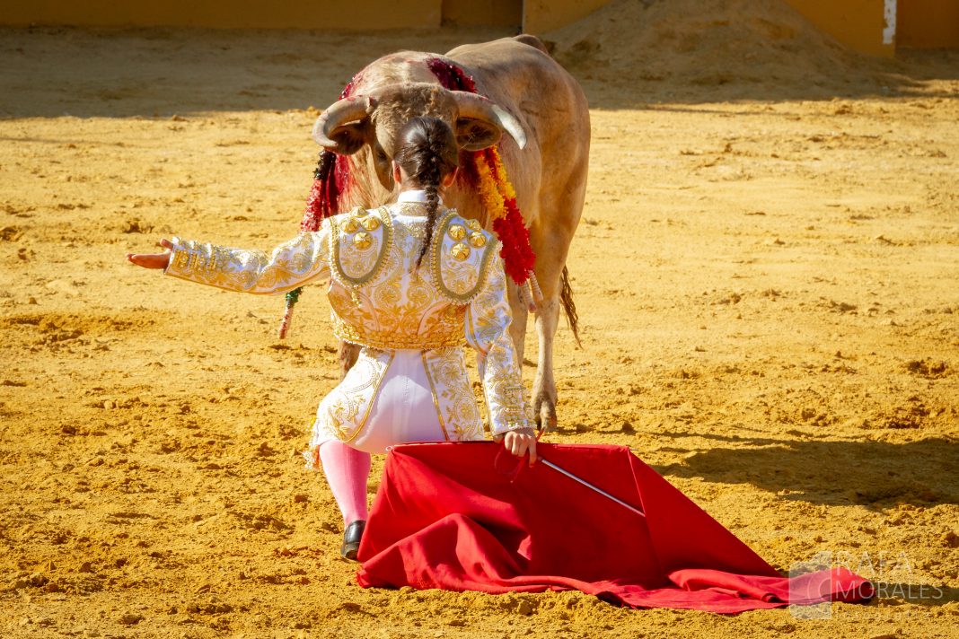 Ole! Meet the 20-year-old female matador forging her way in a macho ...