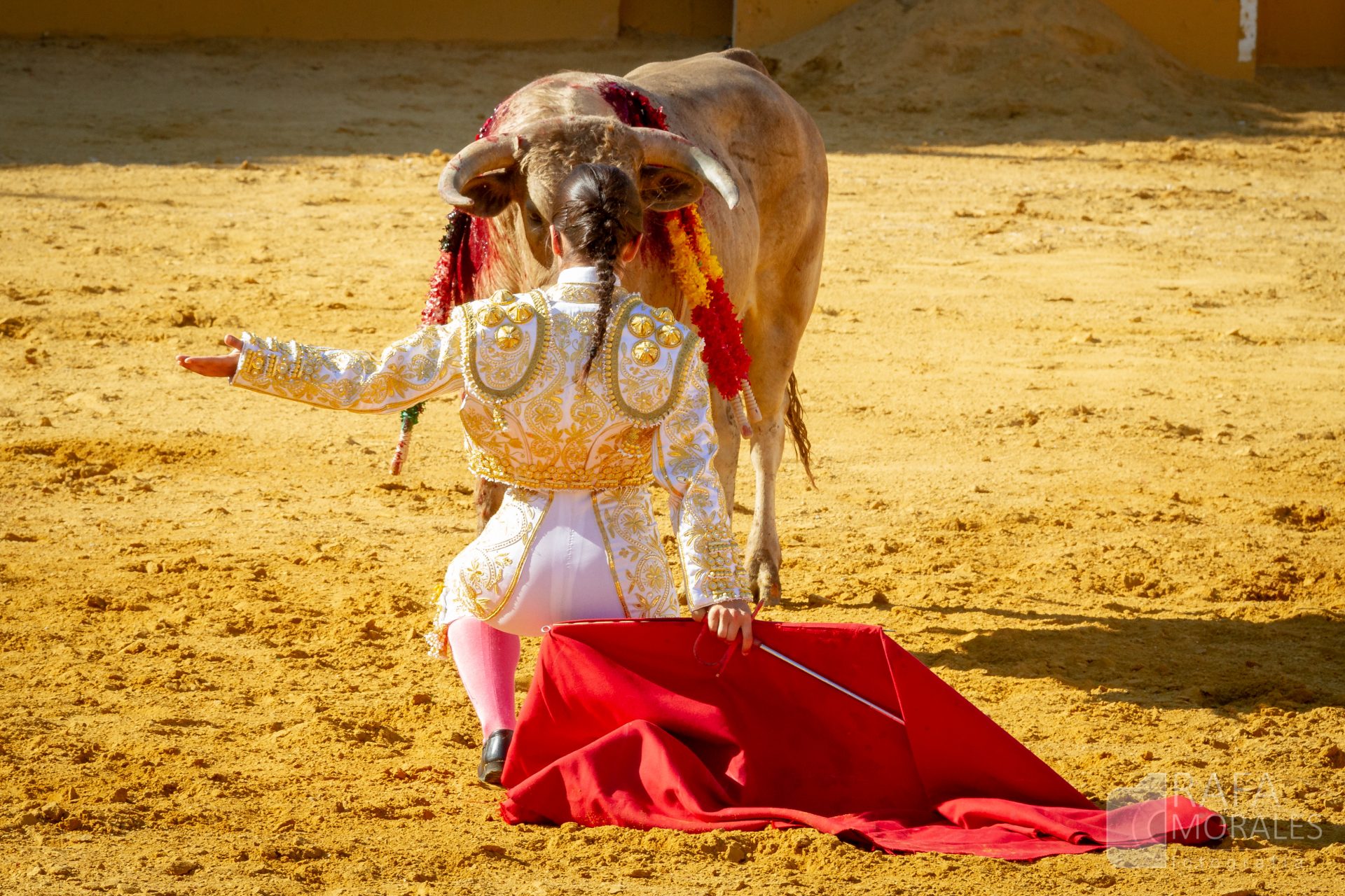 Ole! Meet the 20-year-old female matador forging her way in a macho ...