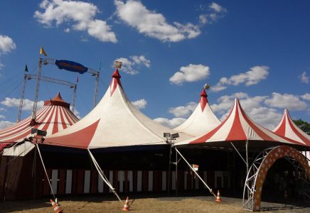 Olive Press Spain News - Andalucia, Gibraltar, Mallorca & Costa Blanca