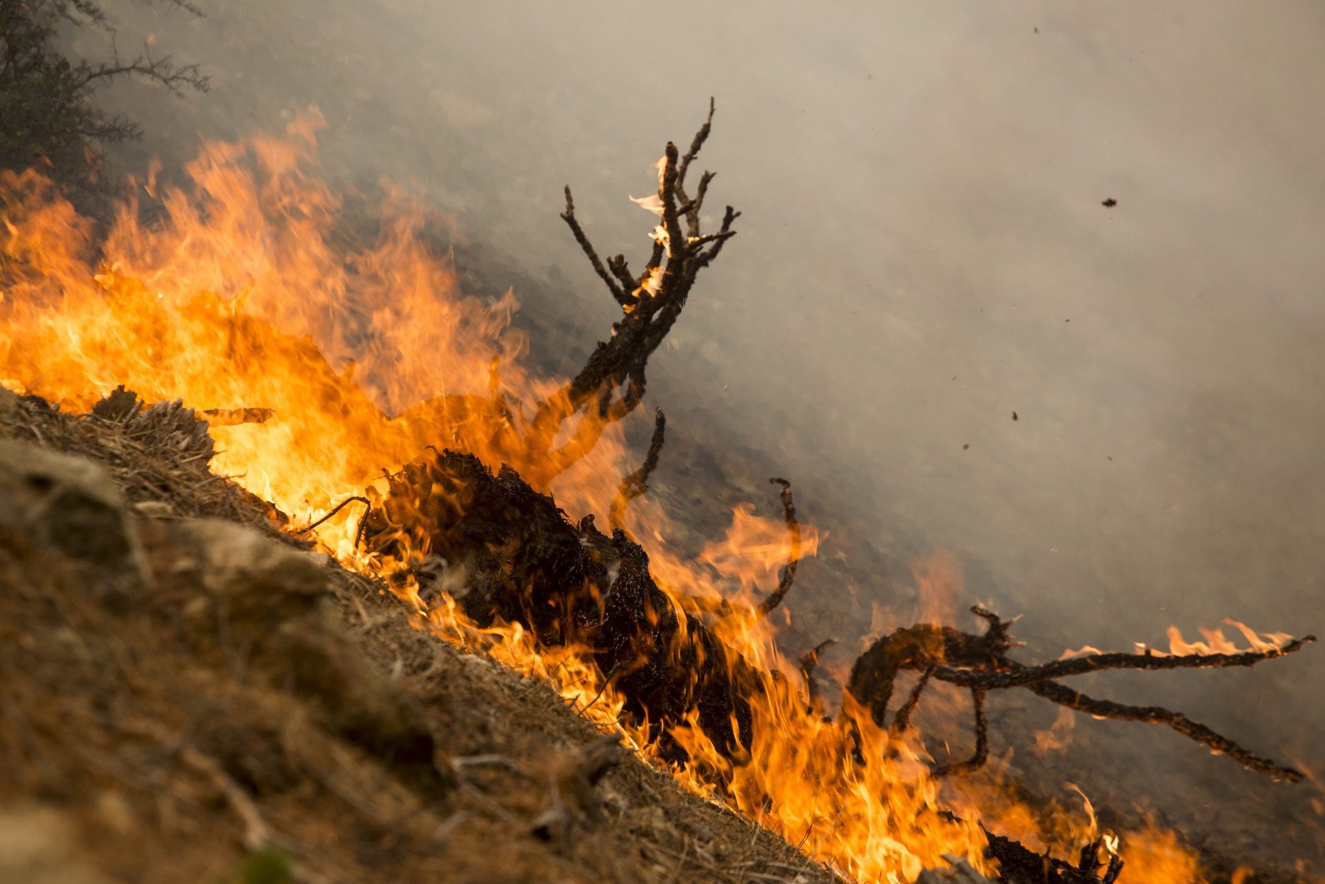 FOCUS: A look back at the devastating history of forest fires in Spain ...
