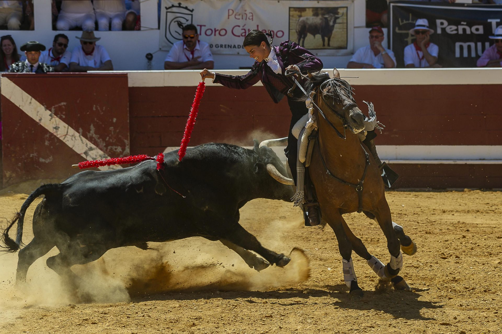 Beauties and the beasts: A look at some of Spain's female bullfighters ...