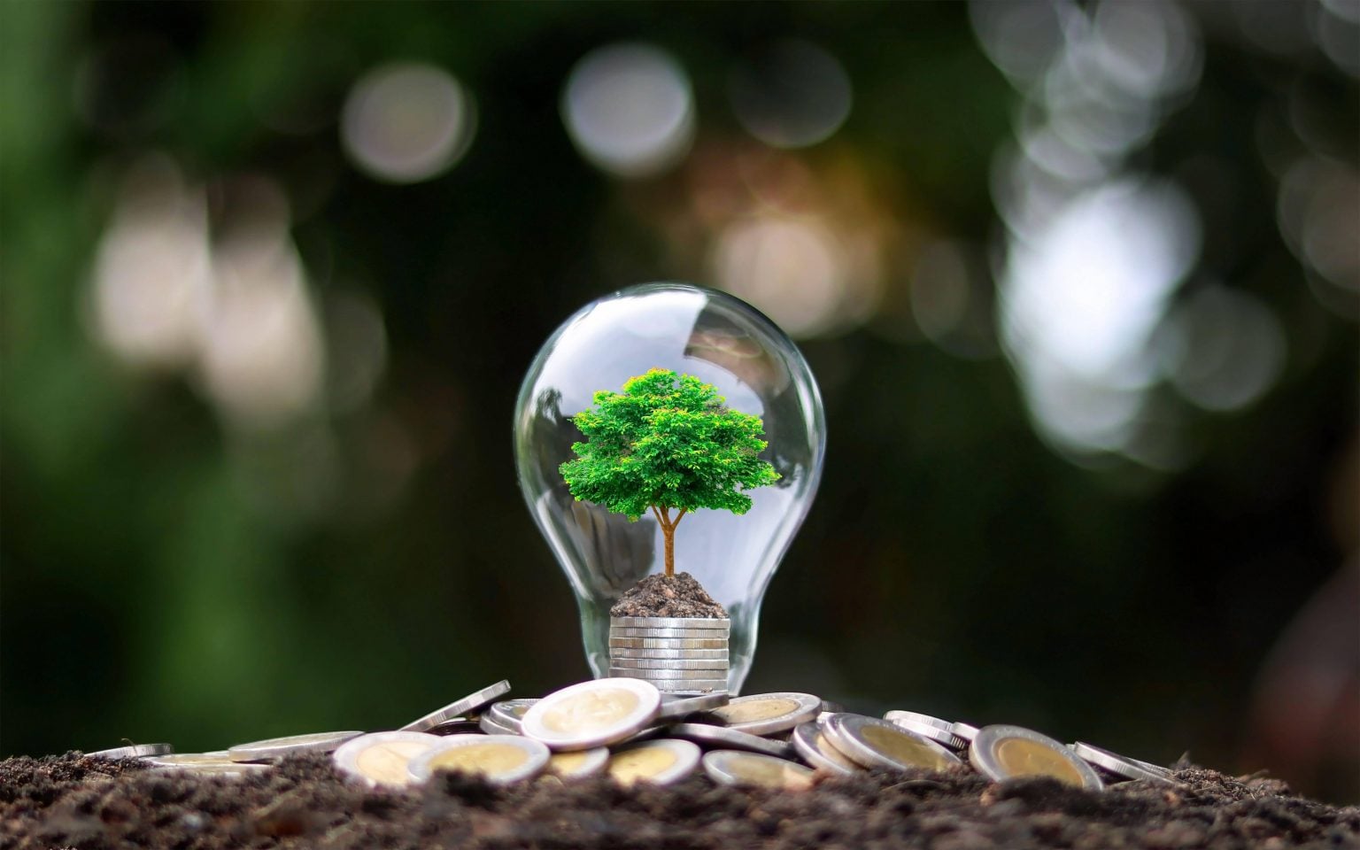 Spain's €9bn energy efficiency plan for homes and public transport