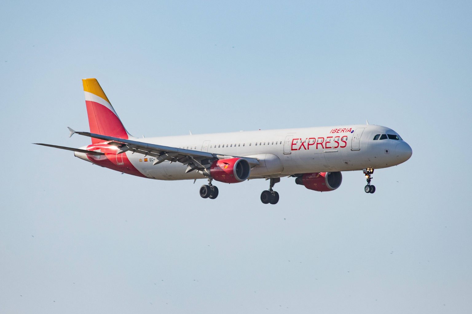 Iberia Express cancels 92 flights ahead of cabin crew strike in Spain ...
