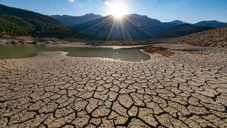Spain's Canary Islands aim for full economy decarbonising by 2040 ...